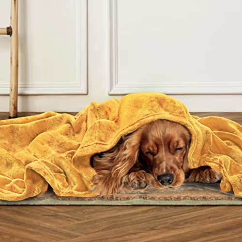 PAVILIA Fleece Blanket Throw | Super Soft, Plush, Luxury Flannel Throw | Lightweight Microfiber Blanket for Sofa Couch Bed (Mustard Yellow, 50x60 inches)