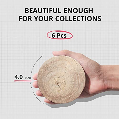 LIFVER Coasters for Drinks with Cork Base, Ceramic Stone Coasters for Coffee Table, Housewarming Gift for Friends - Men, Women Birthday, Home Decor, Timber Texture Pattern, 4 Inches, 6 Pcs