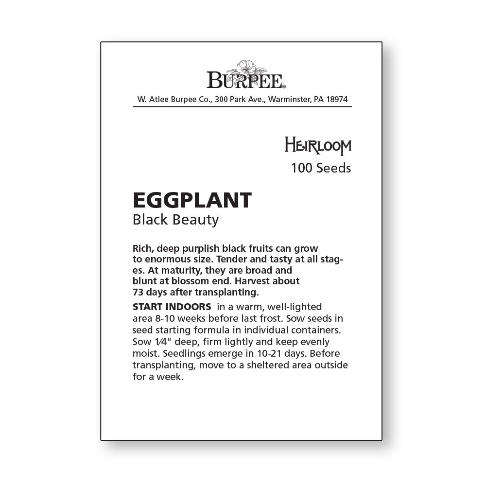 Burpee Black Beauty Eggplant Seeds 100 seeds