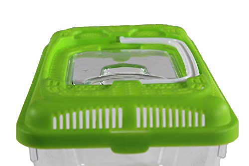 Penn-Plax Small World Habitat – Portable Clear and Transparent Plastic Tank – Excellent for Small Critters and Creatures – Easy to Clean & Handle – 0.6 Gallon