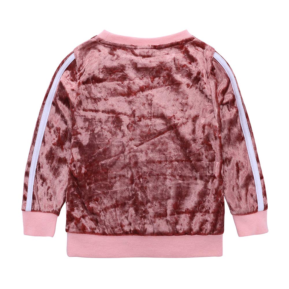 MYGBCPJS 2Pcs Fashion Toddler Baby Girl Velvet Sweatshirt Tops Pant Set Tracksuit