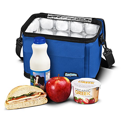 FlexiFreeze Freezable 9 Can Cooler, Royal Blue