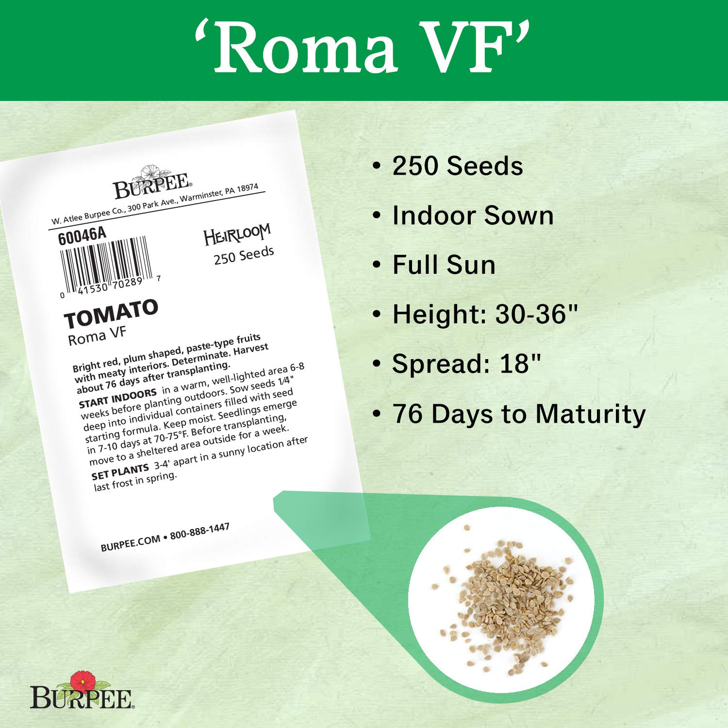 Burpee 'Roma VF' Heirloom | Red Paste Tomato | 250 Seeds