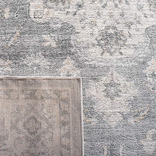 SAFAVIEH Isabella Collection 8' x 10' Grey / Light Grey ISA921F Oriental Non-Shedding Living Room Bedroom Dining Home Office Area Rug