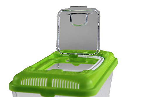 Penn-Plax Small World Habitat – Portable Clear and Transparent Plastic Tank – Excellent for Small Critters and Creatures – Easy to Clean & Handle – 0.6 Gallon