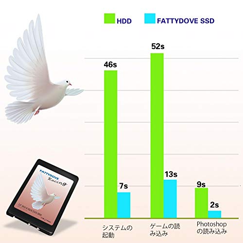 FATTYDOVE 2.5 inch SSD 240GB Internal Drive SATA III 6 Gb/s Solid State Drive with SATA 3.0 Cable for 4K Video Game/PC (240GB SSD Drive)