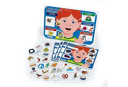 Excellerations My 5 Senses Magnetic Activity Set, 12 x 18 inches, Pack of 55, Educational STEM Toy, Preschool, Kids Toys (Item # SENSEMAG)