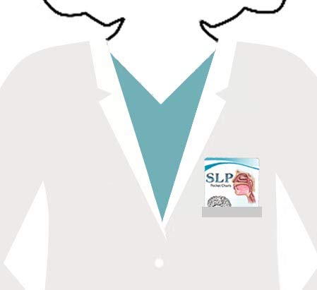 SLP Pocket Charts