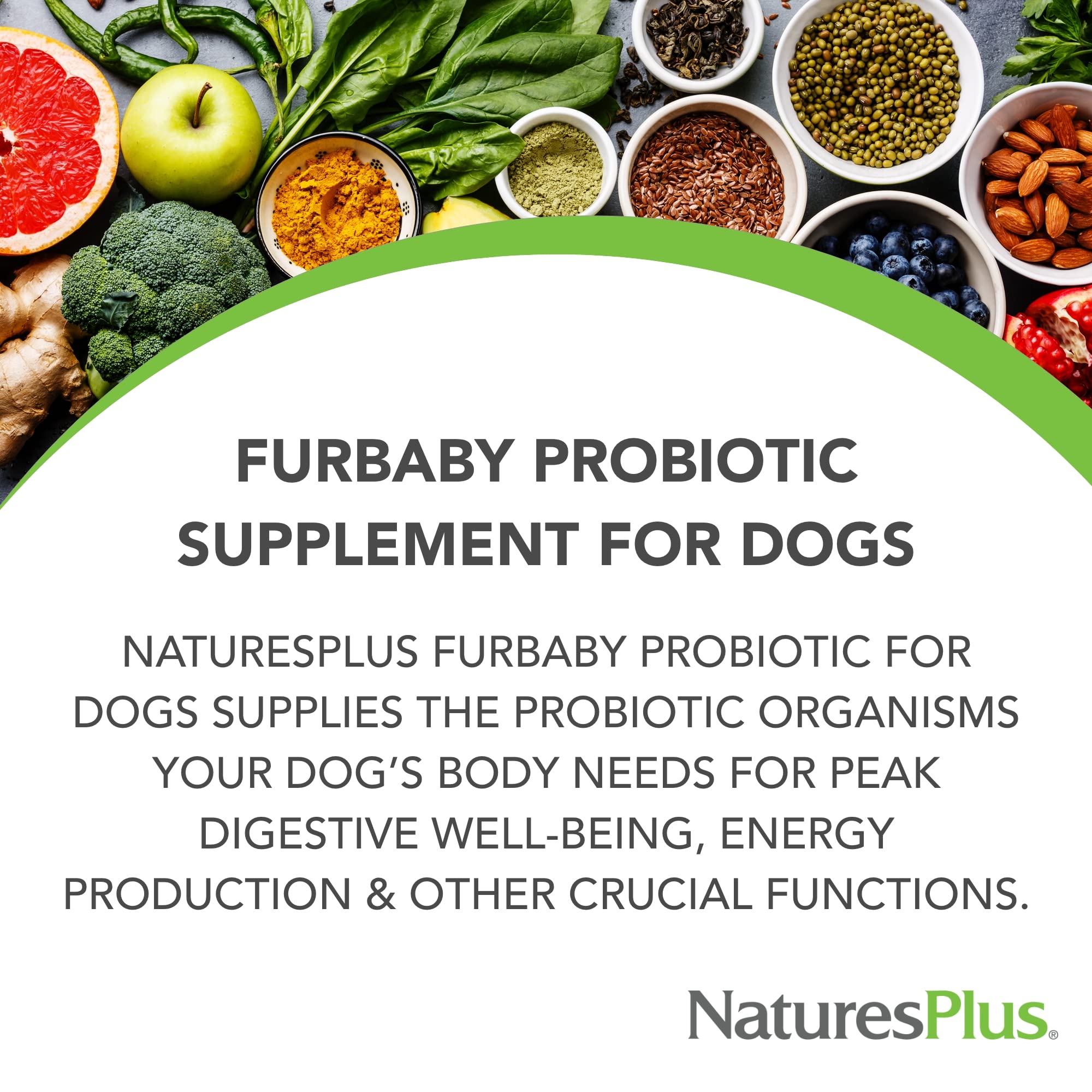 Natures Plus FurBaby Probiotic for Dogs - 9.5 oz - Supports Digestive, Heart, Liver & Immune Health - 60 Servings