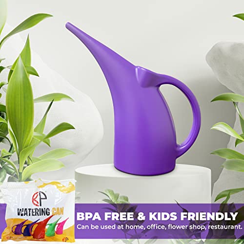 KP KOOL PRODUCTS (1 Pack) 1/2 Gallon Plant Watering can - Mini Watering can - Indoor Watering can - Watering can for Outdoor Plants - Flower Watering can - BPA Free (Blue)