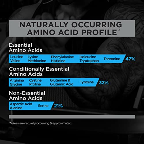 Rule One Proteins Whey Blend - Café Mocha, 24g Fast-Acting Whey Protein Concentrates, Isolates, and Hydrolysates Per Serving, with Naturally Occurring EAAs and BCAAs, 2lbs