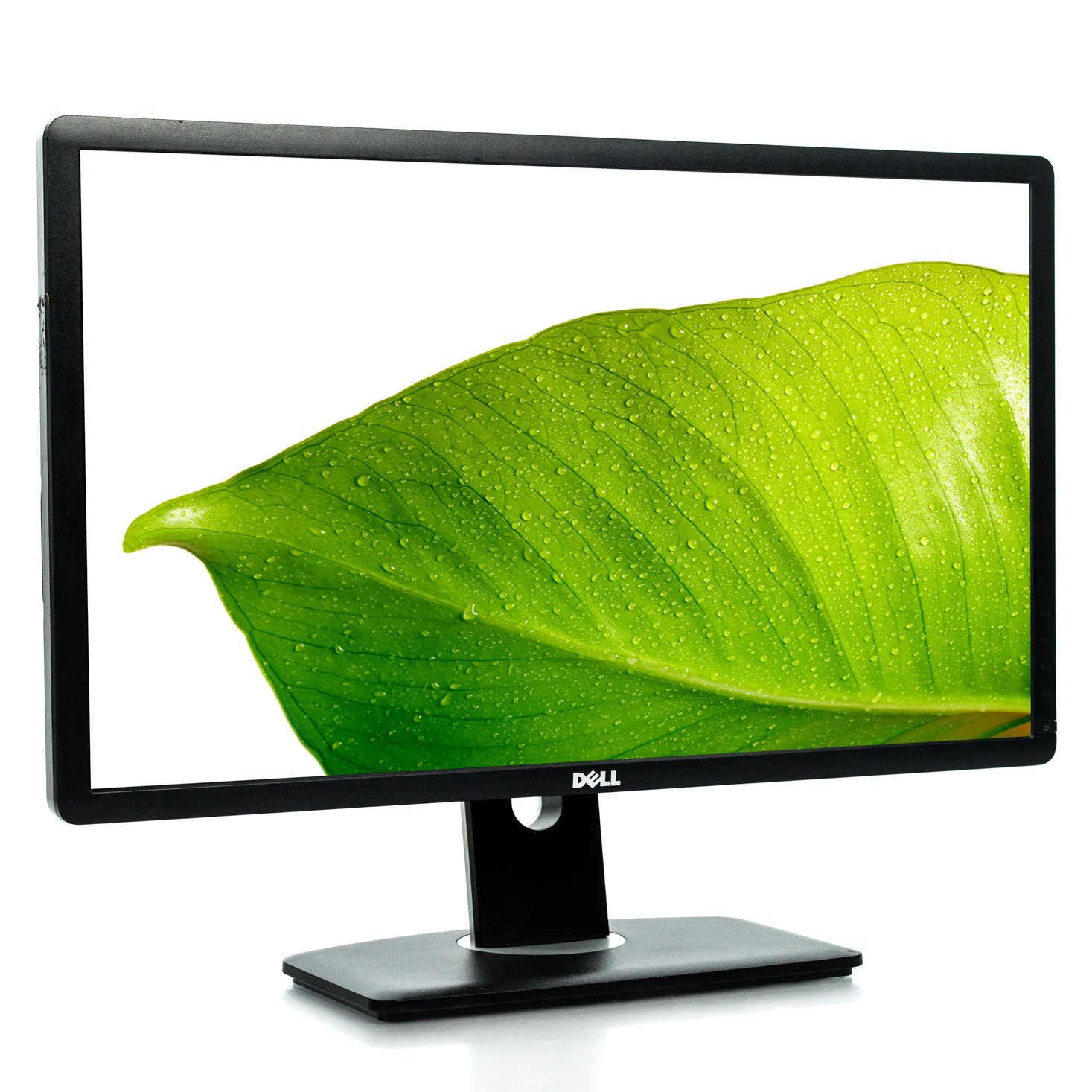 Dell Professional P2412H 24-Inch Monitor with LED-Lit Screen