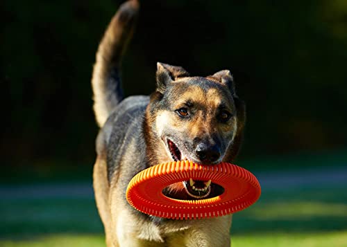 Chuckit Rugged Flyer Dog Toy, Medium, Assorted Colors