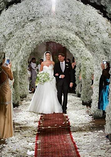 Bringsine Baby Breath Gypsophila Deco White Colour Artificial Flowers for Wedding 40 Pieces/lot