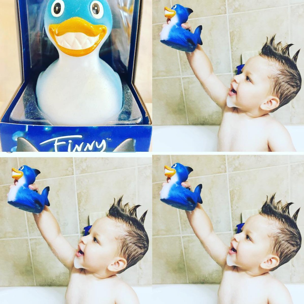 Ducks in the Window Celebridcucks Finny The Great White Shark Rubber Duck Bath Toy