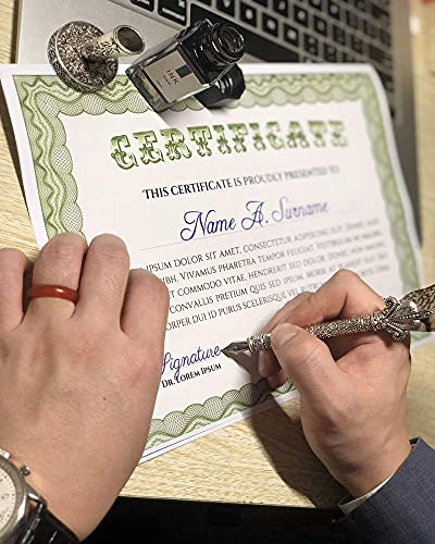 SCHOWE Antique Two-Color Feather Pen Quill Pen Dip Pen With Envelope Writing Paper Calligraphy Pen and Ink Set(pheasant)