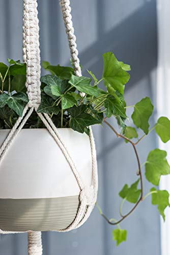 Mkono Macrame Plant Hanger Set of 5 Indoor Wall Hanging Planter Basket Flower Pot Holder Boho Home Decor Gift Box