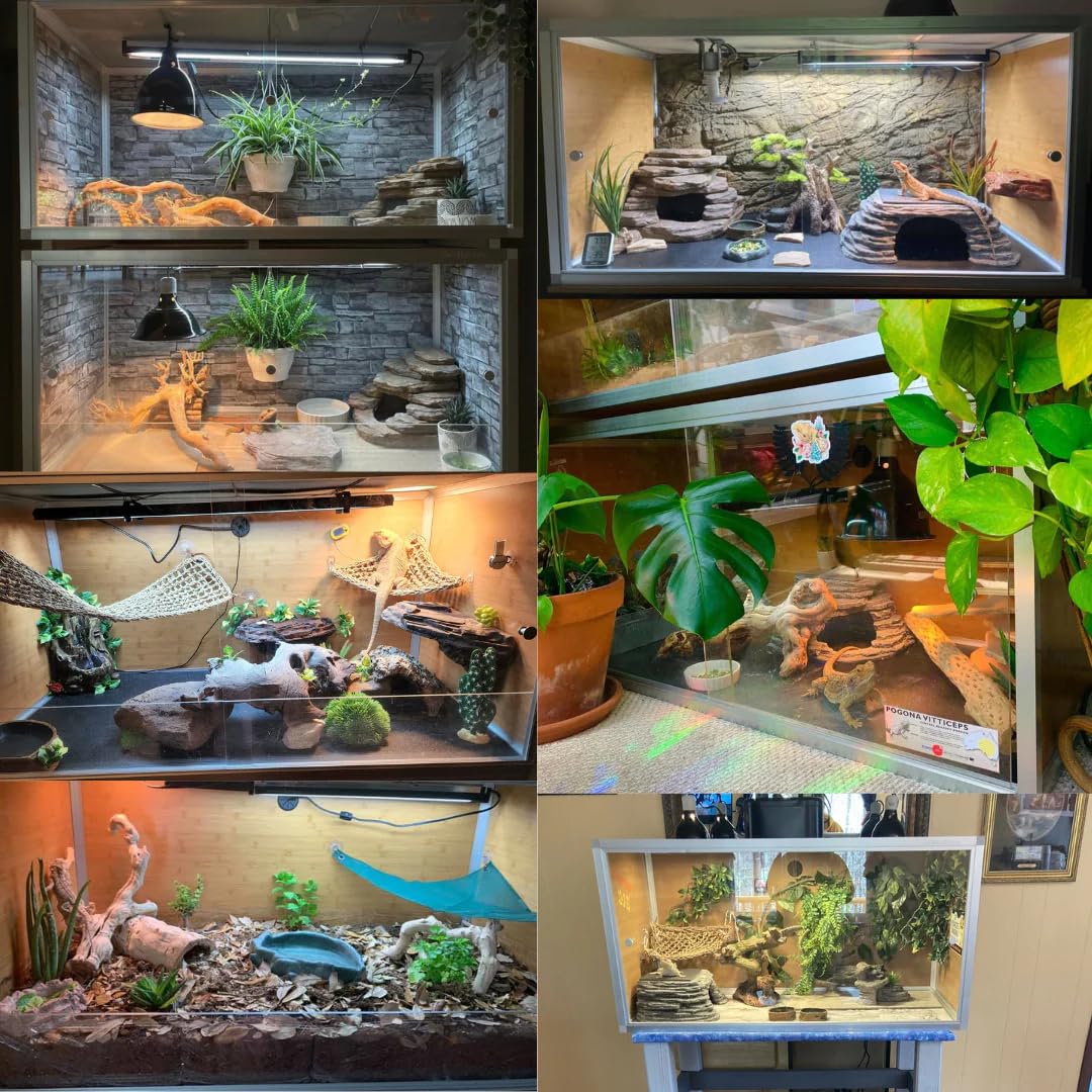 4'x2'x2' Zen Habitats Reptile Enclosures with Wood Panels