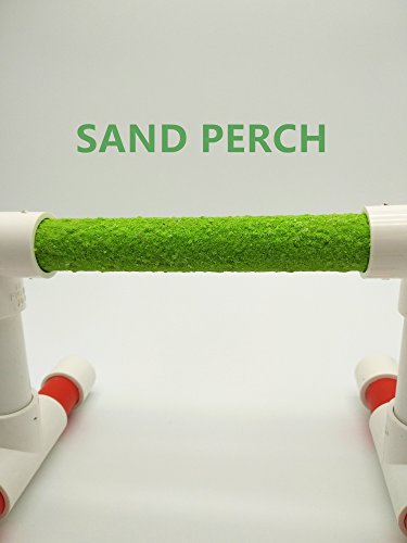 Hypeety Small Bird Parrot Stand Perch Table Top Stand Playground Grind Perch Swing Training Playstand Exercise Chew Toys for Budgies Parakeet Cockatiel Conure Finch (Perch, M)