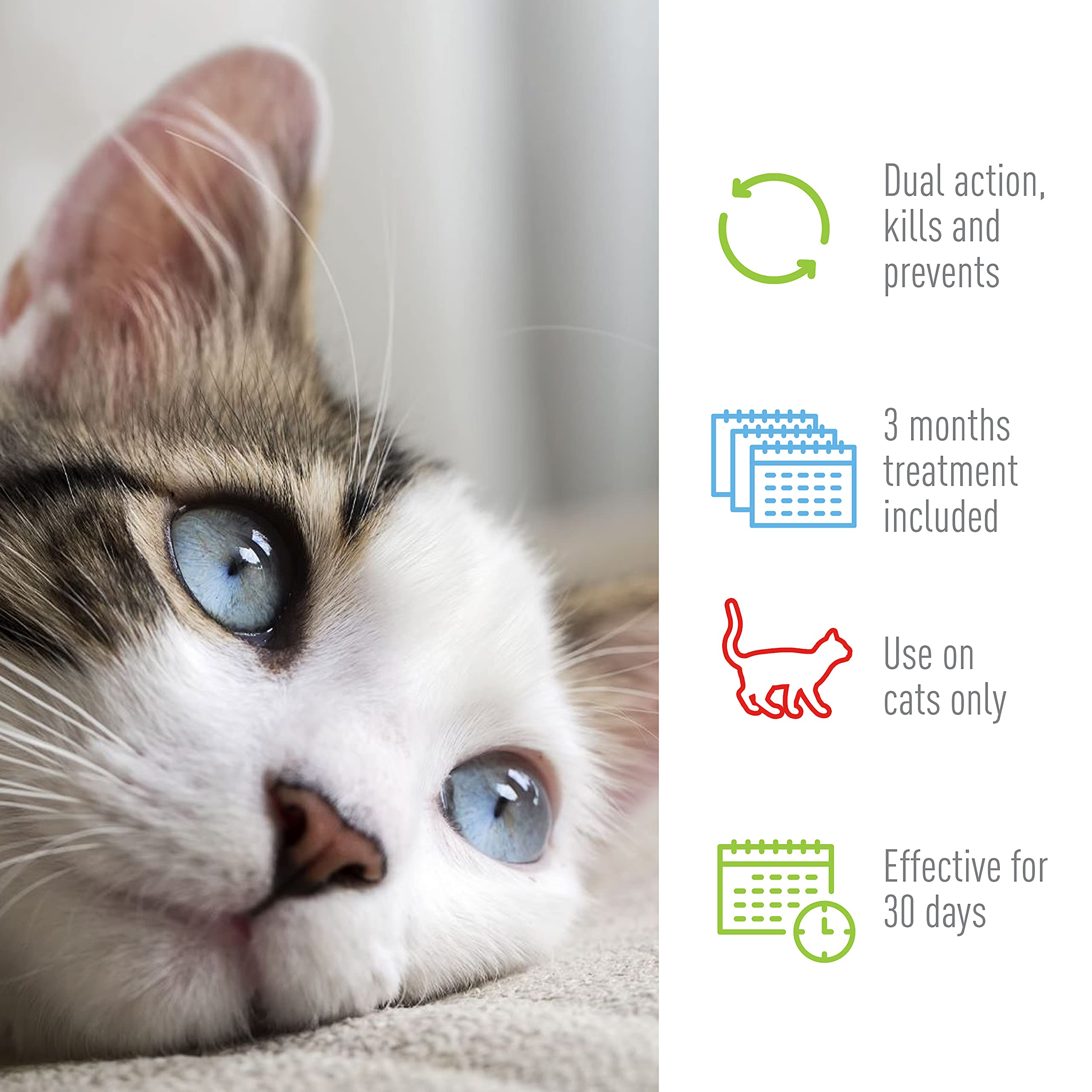 Adams Plus Flea & Tick Spot On for Cats 5 lbs and Over 3 Month Supply