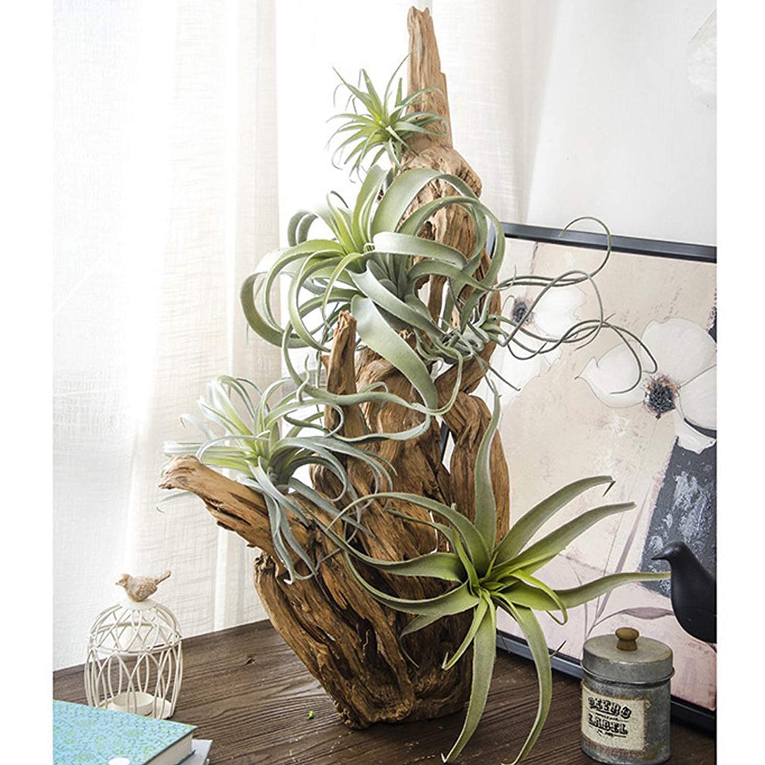 4Pack Artificial Pineapple Grass Air Plants Fake Flowers Faux Succulents Flocking Tillandsia Bromeliads Home Garden Decor,11 Inches