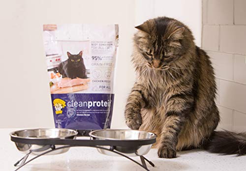 Dr. Elsey's Cleanprotein Chicken Formula Dry Cat Food, 6.6 Lb