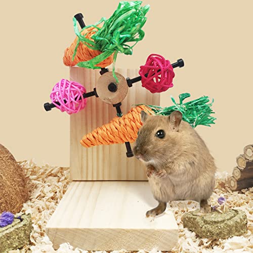 BNOSDM Wooden Foraging Toy for Small Animals Hamster Enrichment Foraging Toys Interactive Spin Guinea Pig Puzzle Toy for Dwarf Hamster Guinea Pig Chinchilla Rat Rabbit Chinchilla Bunny
