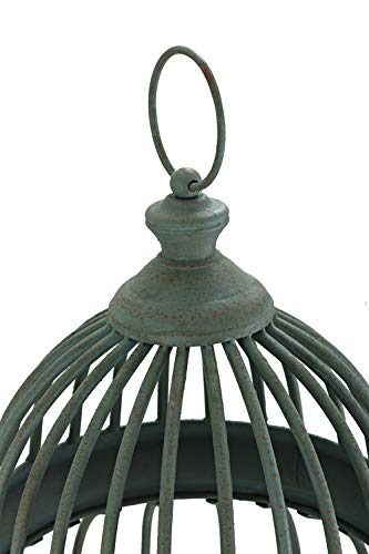 IMAX 47489 Charlotte Birdcage Shelf