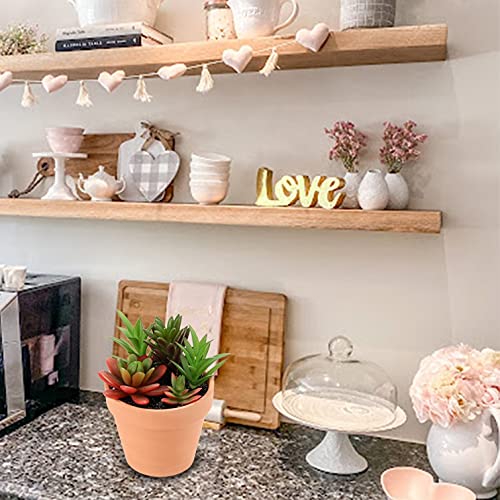 Briful Small Succulents Artificial 2 Pcs Fake Succulent Plants Faux Succulents in Pots Assorted Succulent Arrangements for Home Office Bathroom Room Shelf Rustic Farmhouse Windowsill Decor