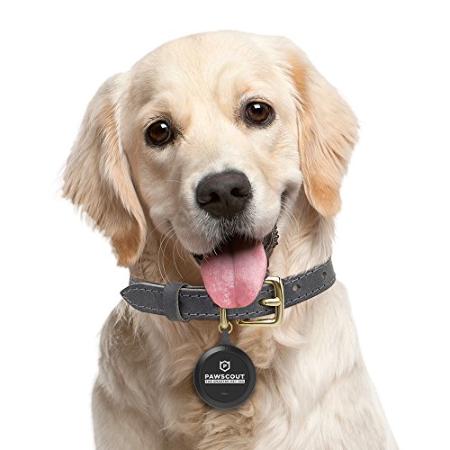Pawscout Smarter Pet Tag (Version 2.5) for Cats & Dogs, Nearby Bluetooth Pet Tracking (not GPS), Community Pet Finder, Walk Diary, Outdoor Virtual Pet Leashes, Digital Medical Profiles