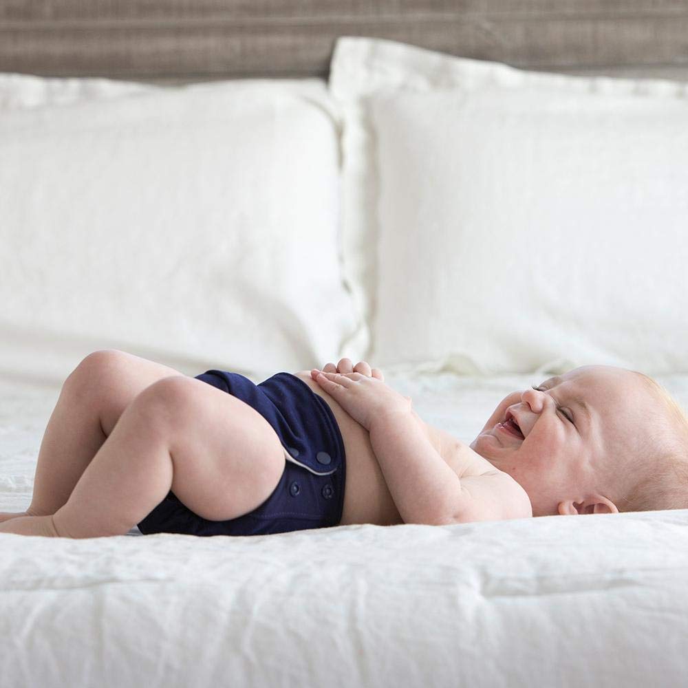 GroVia Organic All-in-One Cloth Diaper - Arctic