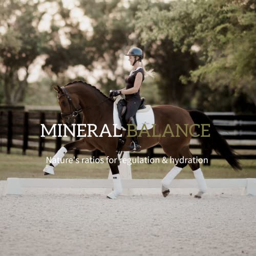 REDMOND Daily Red Garlic | Horse Minerals & Vitamins Supplement | Garlic for Horses