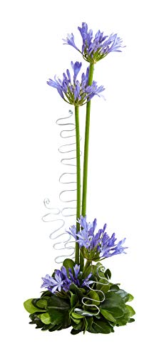 Floral Supply Online - Green Design Bowls for Flower Arrangements, Centerpieces, and Holiday Decorating. (6" Green, 12 Bowls)