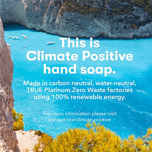 ECOS Hypoallergenic Hand Soap - All Natural pH-Balanced Handwash Soap with Vitamin E - Safe for Sensitive Skin - Lavender - 17 Oz Bottle (6 pack)