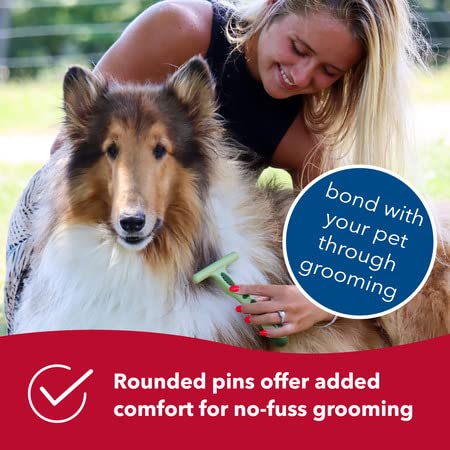 Coastal Pet Safari Dog Single Row Undercoat Rake - Undercoat Brush for Dogs with Medium and Long Hair - Dog Detangler Comb and Dematting Brush - Single Row