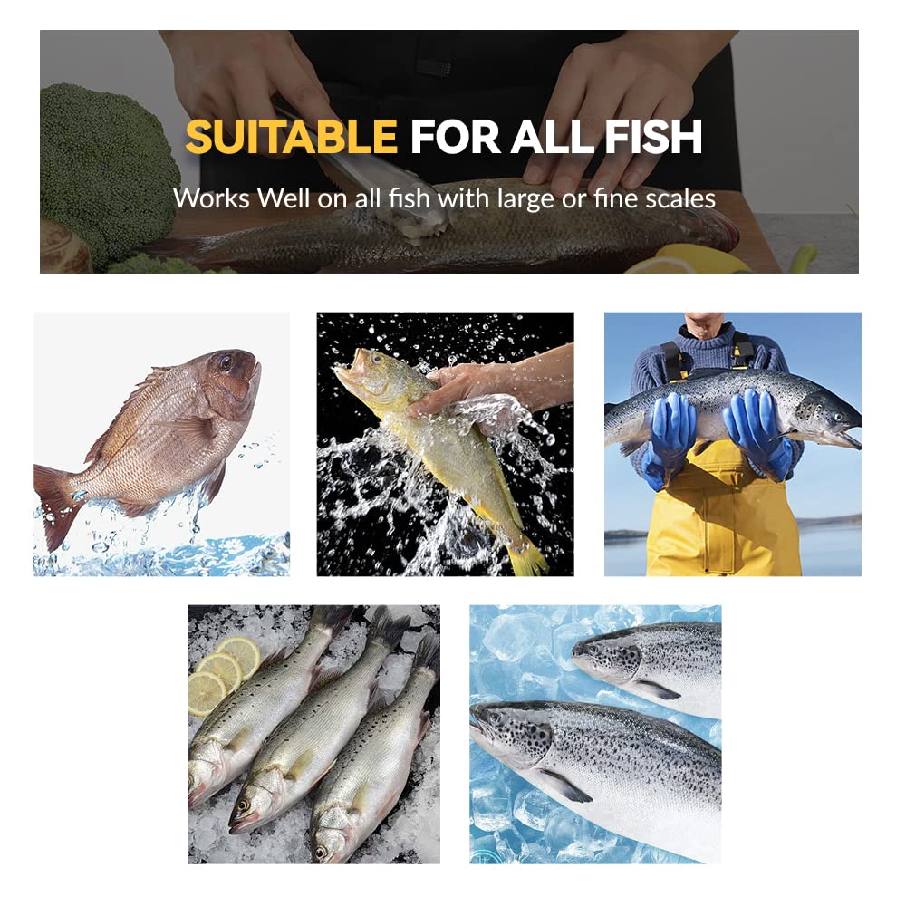 ADORAMBLING 2 Pieces Fish Scaler Tool Stainless Steel Fish Scaler Remover No Mess - Portable Fish Scale Remover Fish Descaler Tool - Durable Fish Scraper Fish Cleaner Tool for Fish Scaling Cleaning