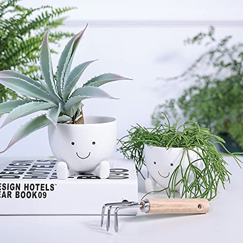AIMEBBY Face Flower Pot Face Head Planter for Indoor Plants Succulent Planters with Drainage Hole Resin Planter 4 Inches