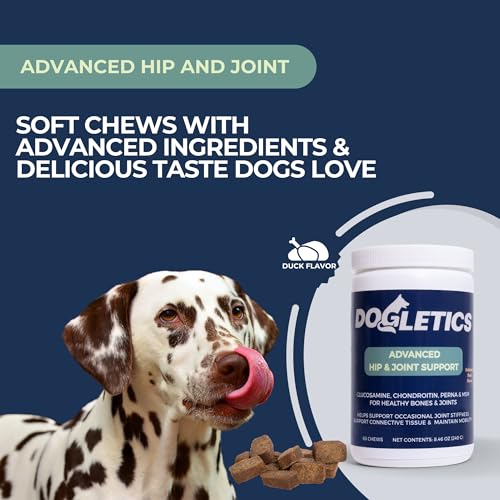 Advanced Hip & Joint Supplements for Dogs, USA Made with Glucosamine & Green Lipped Muscle for Mobility Health, 60ct