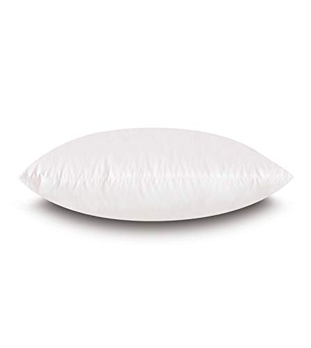 Plankroad Home Décor 15x21 Hypoallergenic Luxury 100% Small Feather Rectangular Pillow Insert, 100% Cambric Cotton Shell, Never Vacuum-Packed, Odorless, Made in USA, Set of 2