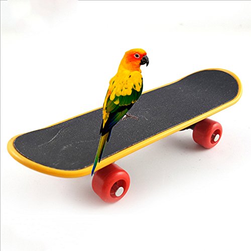 Shuohu Durable Mini Skateboard Parrot Bird Cage Toy Chew Training Ornaments Xmas Gifts for Pets Yellow