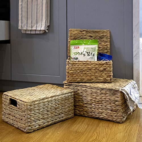 Set of 3 Pack Nesting Storage Baskets with Lids and Insert Handles for Home Organization | Small Closet Wicker Lidded Baskets for Shelves | Straw Wire Woven Storage Baskets with Lids (Water Hyacinth)