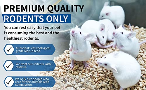 MiceDirect Frozen Pinkie Feeder Mice Food for Corn Snakes Ball Pythons Lizards (75 Count)