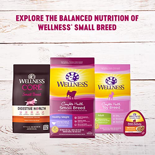 Wellness Petite Entrees Casserole Grain Free Roasted Lamb, Peas & Sweet Potatoes Wet Dog Food, 3 oz, Case of 12