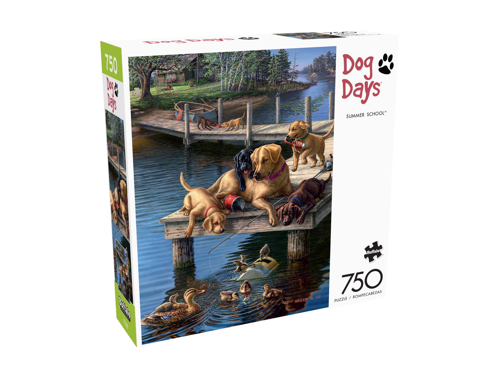 Buffalo Games - James A. Meger - Summer School - 750 Piece Jigsaw Puzzle for Adults -Challenging Puzzle Perfect for Game Nights - Finished Size is 24.00 x 18.00