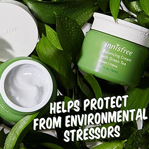 innisfree Green Tea Moisture Balancing Cream Hydrating Face Moisturizer, 2 Pound (Pack of 1)