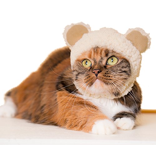 Kitan Club Cat Cap - Pet Hat Blind Box Includes 1 of 6 Cute Styles - Soft, Comfortable - Authentic Japanese Kawaii Design - Animal-Safe Materials, Premium Quality (Bear)
