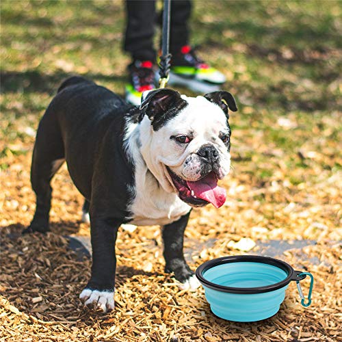 SLSON Collapsible Pet Bowl Dog Bowls 2 Pack, Portable Silicone Pet Feeder, Foldable Expandable for Dog/Cat Food Water Feeding, Travel Bowl for Camping (Light Blue+Light Green)