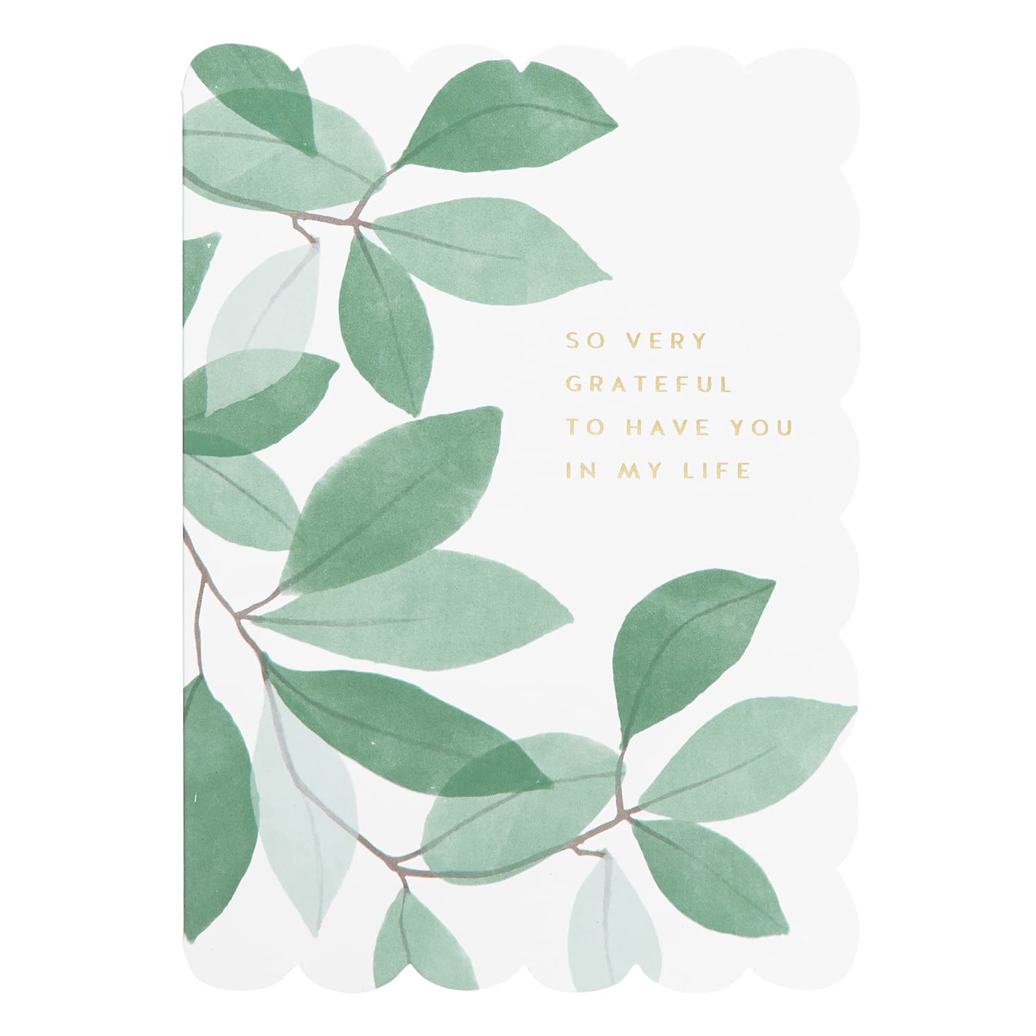 5 Pack of A6 Greeting Cards - Assorted Multi: Kindness. Five Uniquely Designed Blank Cards with Matching Envelopes. Beautiful Leaf Prints and Gold Foil Detailing by kikki.K