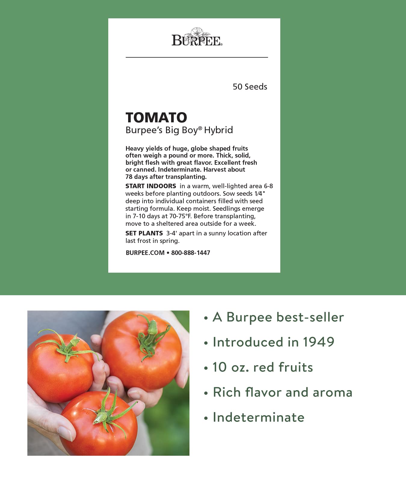 Burpee 'Big Boy' Hybrid Tomato Seeds, Large Slicing Tomato with Rich Flavor,50 Non-GMO Seeds