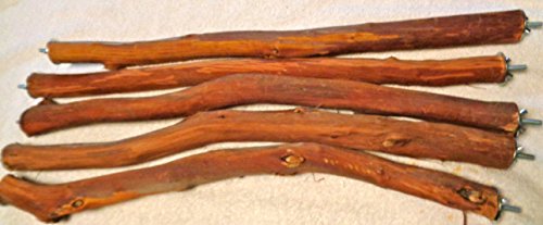 Manzanita Perches Five Pack 24" Two Feet Long